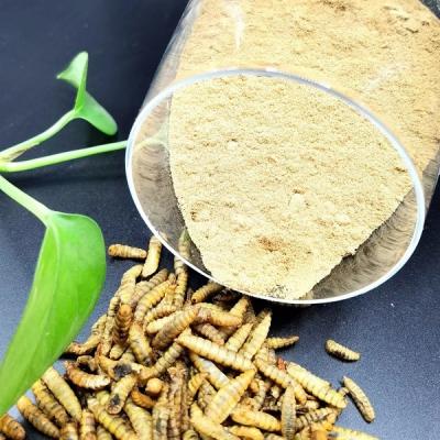 China Black Soldier Fly Protein Powder 55% Crude Protein for Animal Feed Insect Protein for sale
