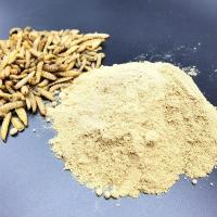 China Black Soldier Fly Protein Powder 55% Crude Protein for Poultry Livestock Aquatic Feed for sale