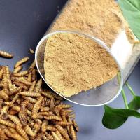China Black Soldier Fly Protein Powder 55% Crude Protein for Poultry Livestock Aquatic Feed for sale