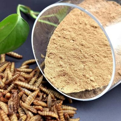 China Additive Free Black Soldier Fly Protein Powder For Poultry Fish Feed for sale