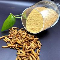 China Defatted Black Soldier Fly Larvae Powder High Protein Insect Protein Meal for sale