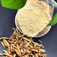 China No Additives Insect Black Soldier Fly Protein Powder BSF For Pets Feed for sale