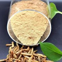 China Black Soldier Fly Protein Powder 55% Crude Protein BSF Larvae Feed for Animal Nutrition for sale
