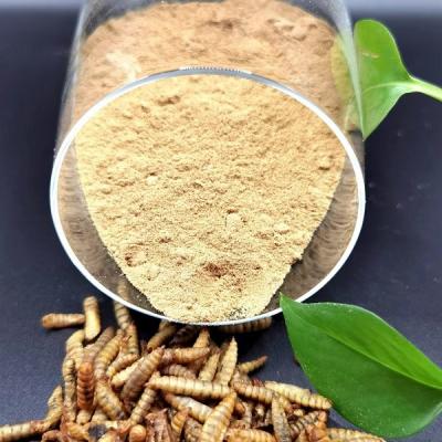 China Black Soldier Fly Protein Powder 55% Crude Protein BSF Larvae Feed for Animal Nutrition for sale