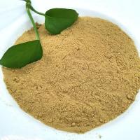 China Black Soldier Fly Protein Powder 55% Crude Protein BSF Larvae Feed for Animal Nutrition for sale