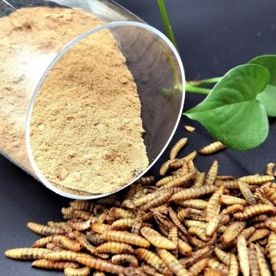 China Black Soldier Fly Protein Powder 55% Crude Protein for Fish Livestock Pet Chicken Feed for sale