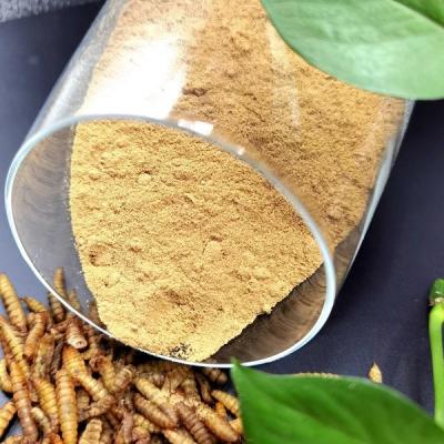 China BSF Black Soldier Fly Protein Powder Pets Feed Fish Meal Substitute for sale