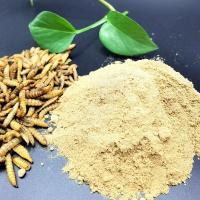 China Black Soldier Fly Larvae Protein Meal 55% for Poultry Livestock Aquatic Feed for sale