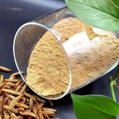 China High Protein Black Soldier Fly Powder 55% Insect Meal Fish Meal Substitute for Feed for sale