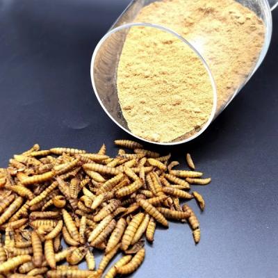 China Black Soldier Fly Protein Powder 55% for Fish Chicken Pigs Pets Feed for sale