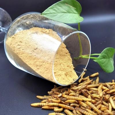 China 3.6mg/g Acidity Level Insect Protein Powder BSF Protein for Animal Feed 55% Protein for sale