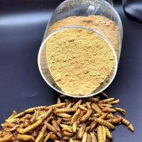China Black Soldier Fly Maggot Protein 55% Feed for Chicken Fish BSF Insect Meal for sale