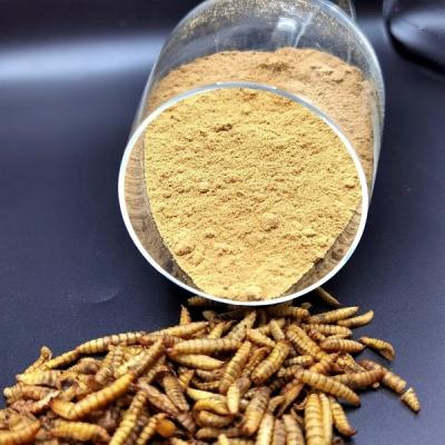 China Black Soldier Fly Maggot Protein 55% Feed for Chicken Fish BSF Insect Meal for sale