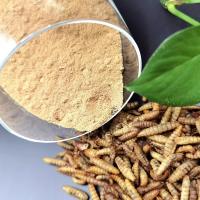 China Black Soldier Fly Larvae Protein Feed 55% for Aquatic Livestock Poultry Pet Food for sale
