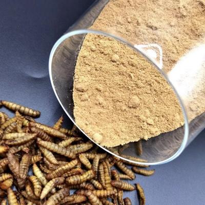 China Black Soldier Fly Protein Content 55% for Fish Chicken Pets Animal Feed for sale