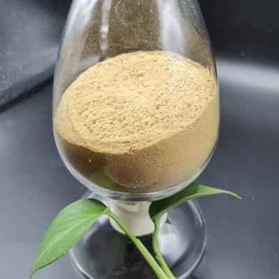 China Natural BSF Maggot Protein Powder 55% Crude Protein for Pet Food Livestock Feed for sale