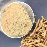 China Natural BSF Larvae Protein Content / Insect Protein Animal Feed for sale
