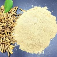 China Hermetia Insect Protein Powder 55% Crude Protein for Poultry Aquatic Livestock Feed for sale