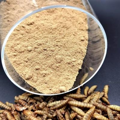 China Black Soldier Fly Larvae Powder 55% Protein Animal Feed High Protein Supplement for sale