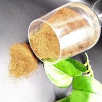 China High Protein Defatted Grub Powder 45% for Poultry Duck Feed Natural Insect Protein for sale