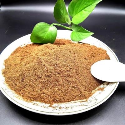 China Poultry Feed  Protein Grub Powder Defatted Insect Based Protein Powder for sale