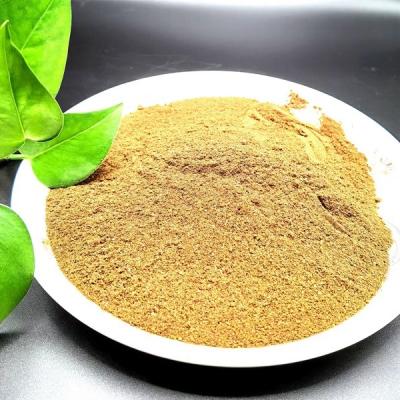 China Defatted Grub Protein Powder 45% for Chicken Feed Insect Protein Fishmeal Replacement for sale