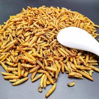 China High Protein Microwave Dried BSF Larvae For Pets Aquatic Feed for sale