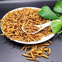 China Dried Black Soldier Fly Larvae 40% Protein 15% Fat for Pet Food Feed for sale