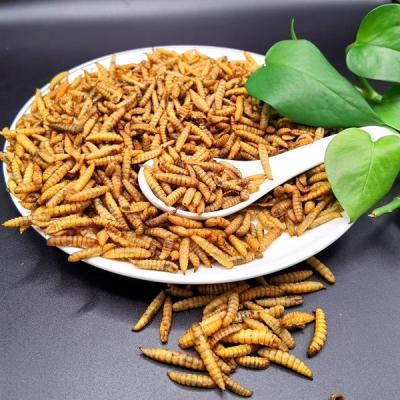 China Dried Black Soldier Fly Larvae 40% Protein 15% Fat for Pet Food Feed for sale