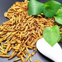 China Dried Black Soldier Fly Larvae 40% Protein 15% Fat for Pet Food Feed for sale