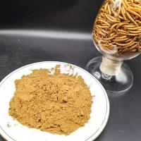 China Defatted Mealworm Powder High Protein 65% Insect Meal for Aquatic Feed for sale