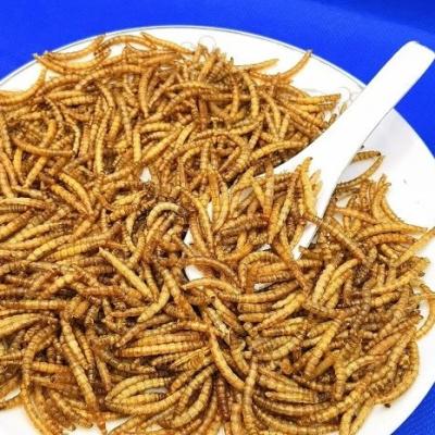 China High Protein Dried Yellow Mealworms Wild Birds Food 52% Protein 25% Fat for sale