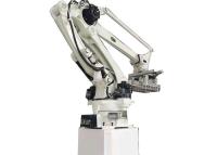China Kawasaki Robotic Arm Palletizer with 180kg Payload for High-Speed Operation in Compact Installation Space for sale