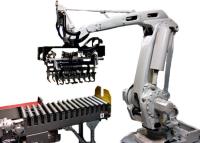 China 180kg Payload 4 Axis Multi-line Capacity Robotic Palletizing System for Industrial Automation for sale