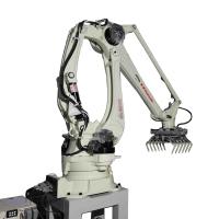 China 2.5m Ultra-High Bag Palletizing Solution with Robotic Riser Pedestal Palletizing Robot for sale