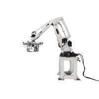 China Versatile Robot Palletizing System compatible with various pallet sizes and product weights to meet diverse industry needs for sale