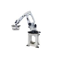 China Automatic Stacking Machine for pet food bag and carton Designed for Easy Installation and Compatibility for sale