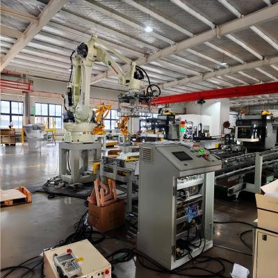 China Smart Palletizing Robot For 25kg Bag Carton Drum – Integrated Vision & AI For Precise Layer Planning for sale