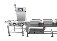 China Food Grade Digital 150ppm 2000g Check Weigher Machine for Precision Weight Inspection for sale