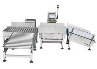China IP30 Protection 220V Voltage Check Weigher Machine for Food Processing Industry for sale