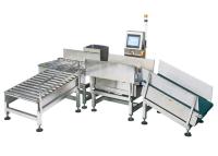 China IP30 Protection 220V Voltage Check Weigher Machine for Food Processing Industry for sale