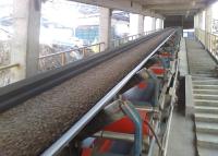 China Food Grade 220VAC 600mm Conveyor Belt Weigher for Continuous Weighing in Salt Industry for sale