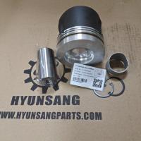 China Hyunsang Excavator Parts Piston With Pin 1004016A56D 1002015-56D For BF6M2012 for sale