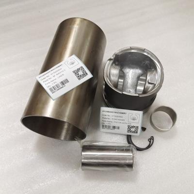 China Hyunsang Excavator Parts Liner Piston Kit BF 4M2012C BF6M2012 1004016A56D 1002015-56D for sale