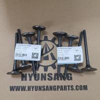 China Hyunsang Engine Spare Parts Intake Valve Exhaust Valve 3802355 3802356 for sale