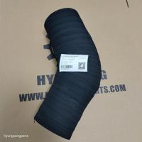China Excavator 11NA-20010 11NA20010 HOSE For R300LC9S R320LC7 R330LC9S R360LC7 for sale