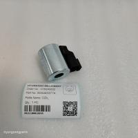China Electronic Part Coil 300AA00377A For Construction Machinery Solenoid Valve for sale
