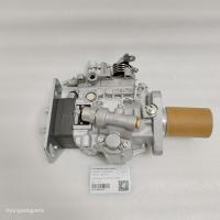 China Hyunsang Loader Parts Fuel Injection Pump 2855784 2852499 For 580M for sale