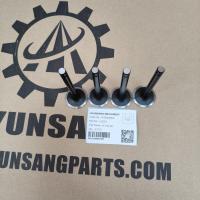 China Hyunsang Excavator Parts Intake & Exhaust Valves For V2203 Engine for sale