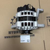 China Hyunsang Excavator Parts ALTERNATOR 21Q6-42600 For R80-7 for sale